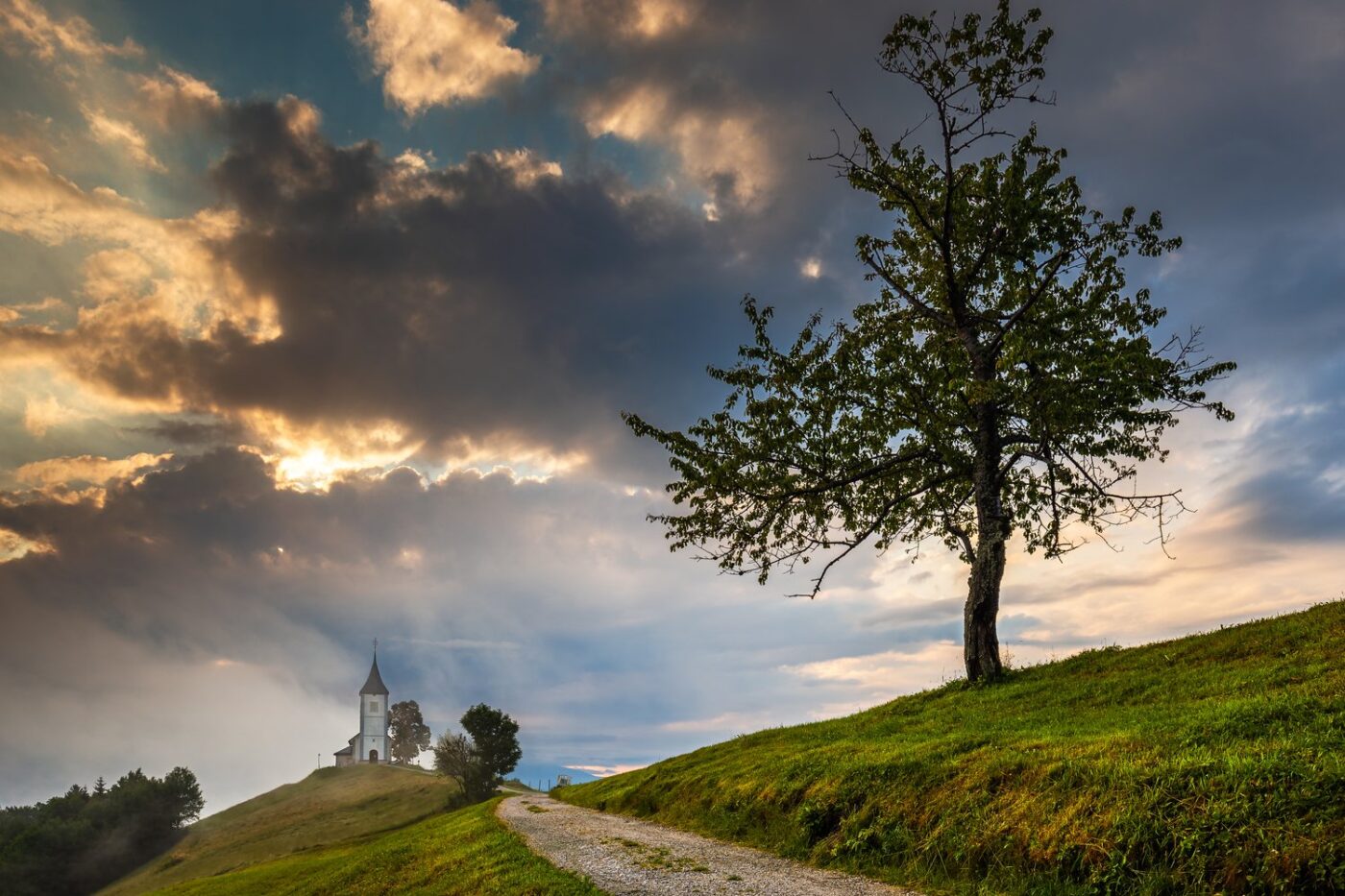 How Spiritual Drought Can Give Way to Growth - Catholic Exchange