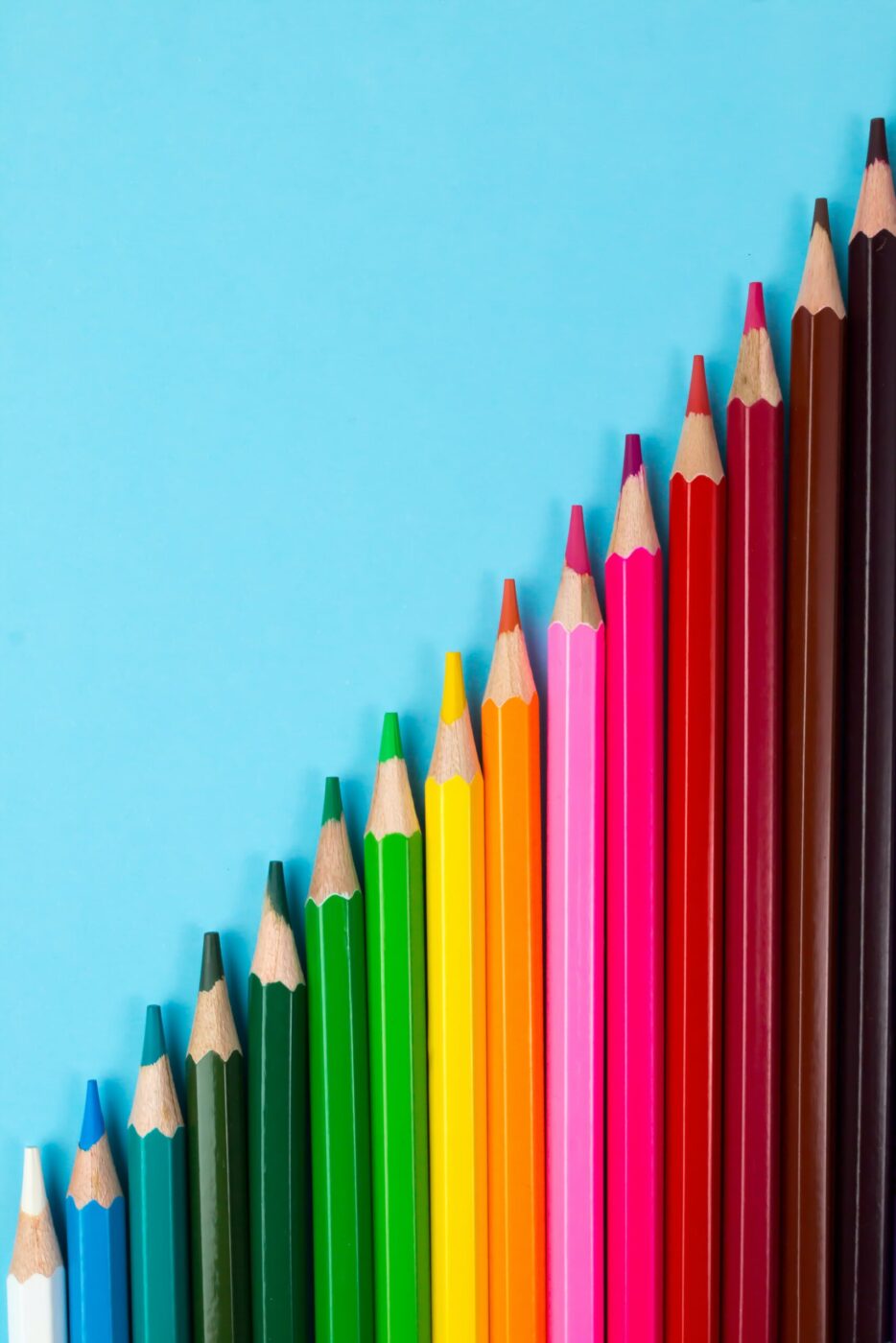 Stolen Innocence: The Exploitation of Our Children in Public Schools ...